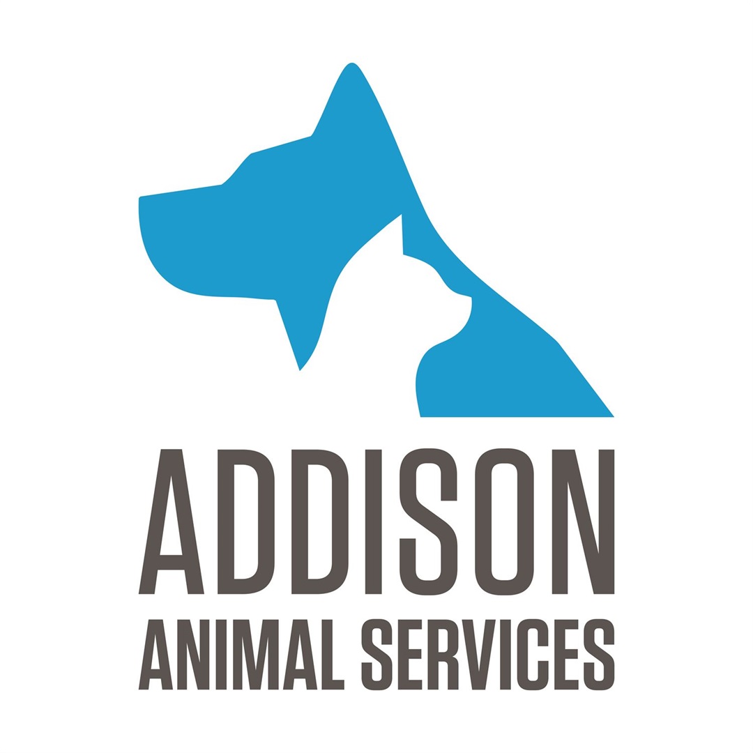 Animal Services Development & Neighborhood Services
